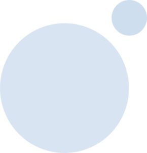 MaxVal: IP Lifecycle Management Solutions