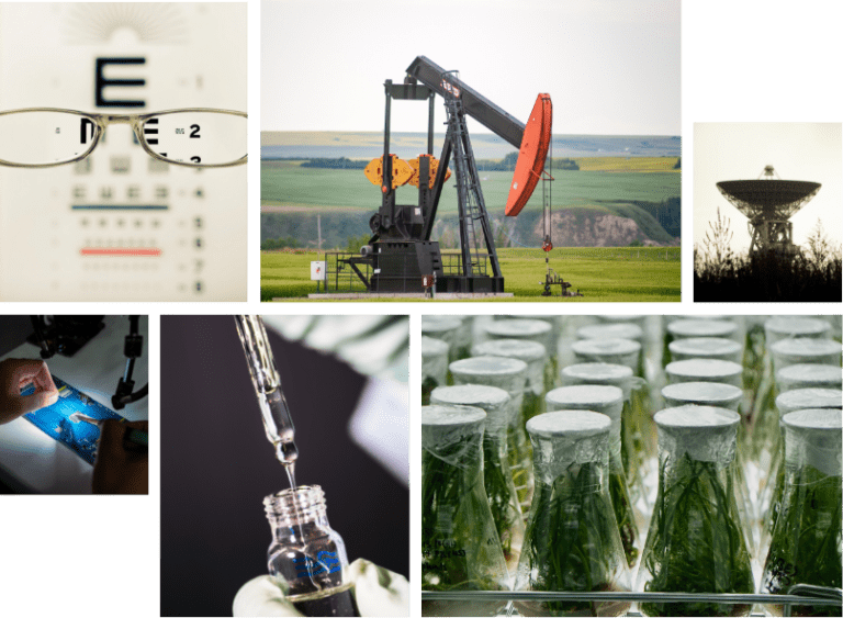 IP Renewal Service | MaxVal